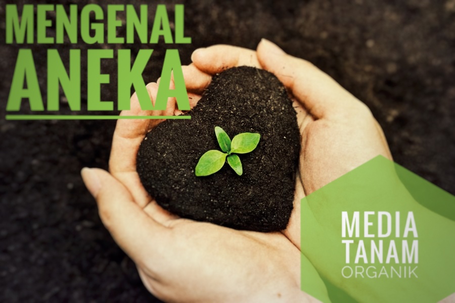 Mengenal Berbagai Macam Media Tanam Organik - Pekebun Dodol