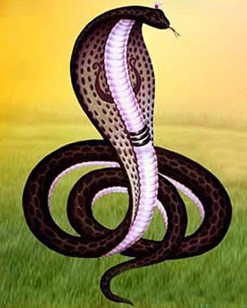 GOGA Maharaj HD Ferr Download Photos images