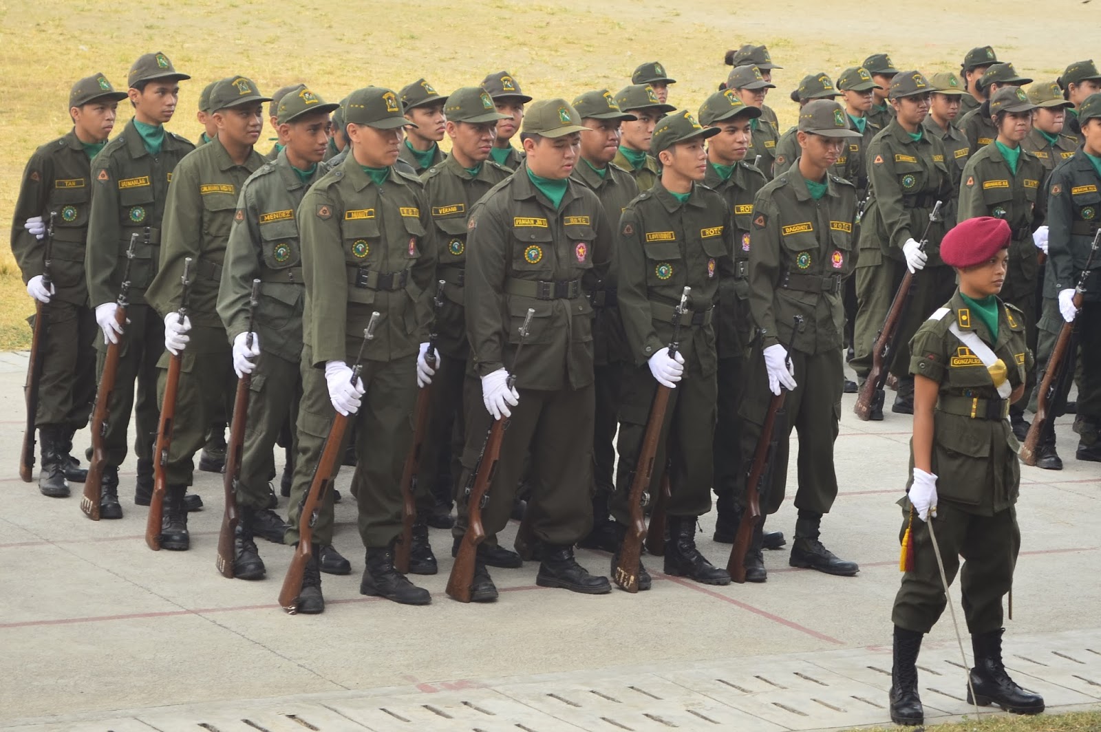 Gabby In Wonderland: Regional Annual Achievement Tactical Inspection ...