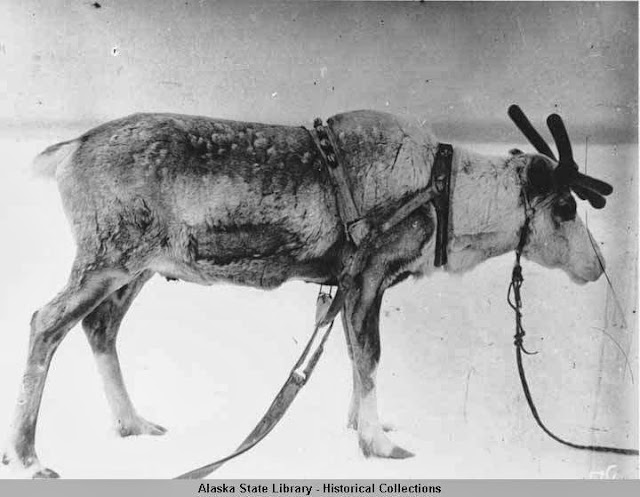 The Alaska Native Studies Blog: 2013