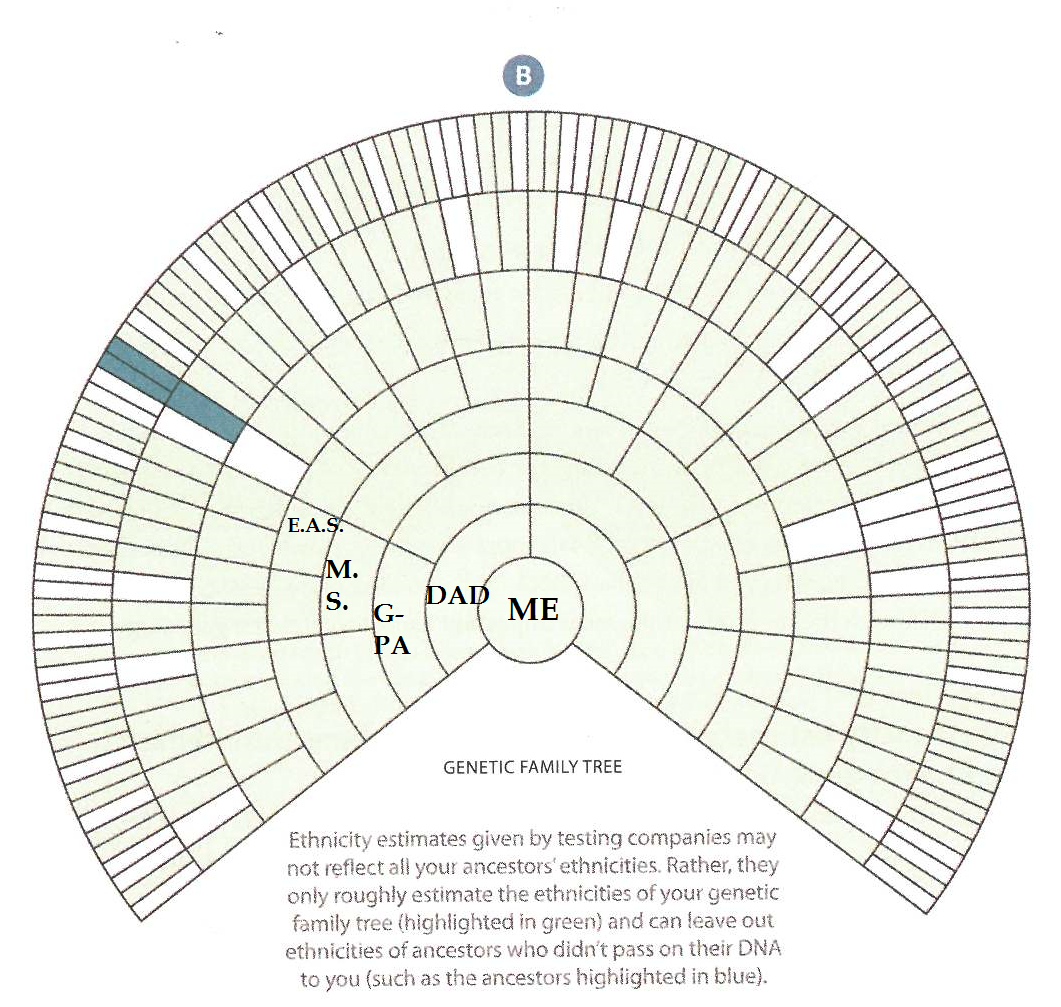 MCDL Genealogy: DNA with Blaine Bettinger