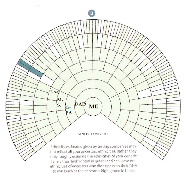 MCDL Genealogy: DNA with Blaine Bettinger