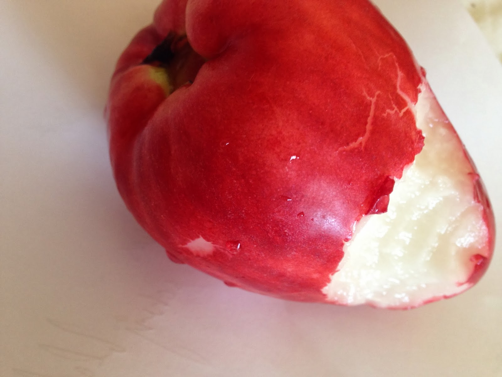 Nee, we eten wat anders