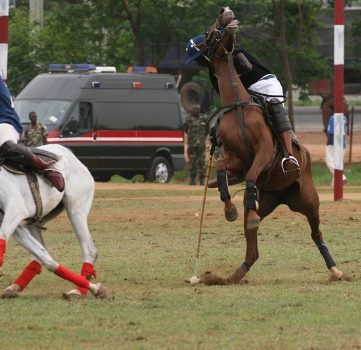 GLOBAL POLO: EL-Amin players with their IBB Cup prizes in a group ...