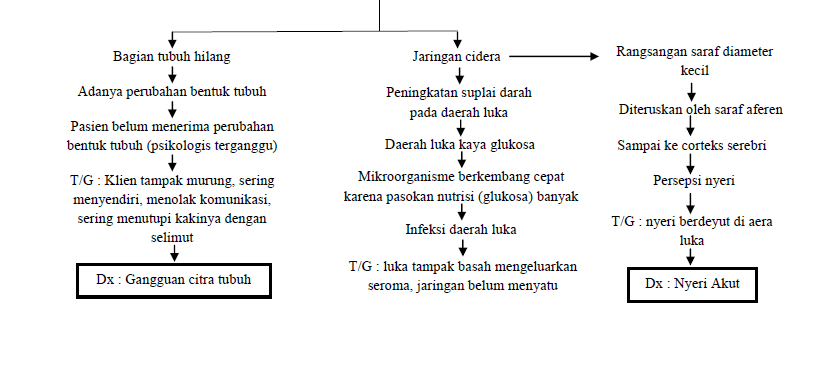 Seputar Dunia Keperawatan: PATHWAY DM TIPE II