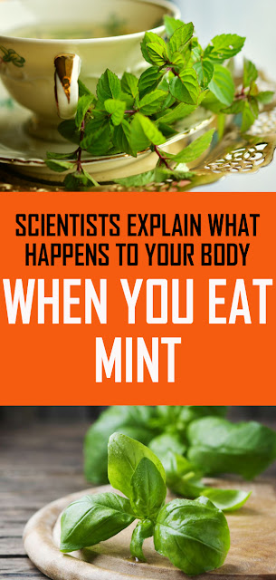 SCIENTISTS EXPLAIN WHAT HAPPENS TO YOUR BODY WHEN YOU EAT MINT EVERY ...