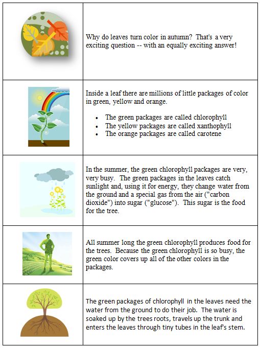 Mommy Magic!: Preschool Week 2: Fun with Fall