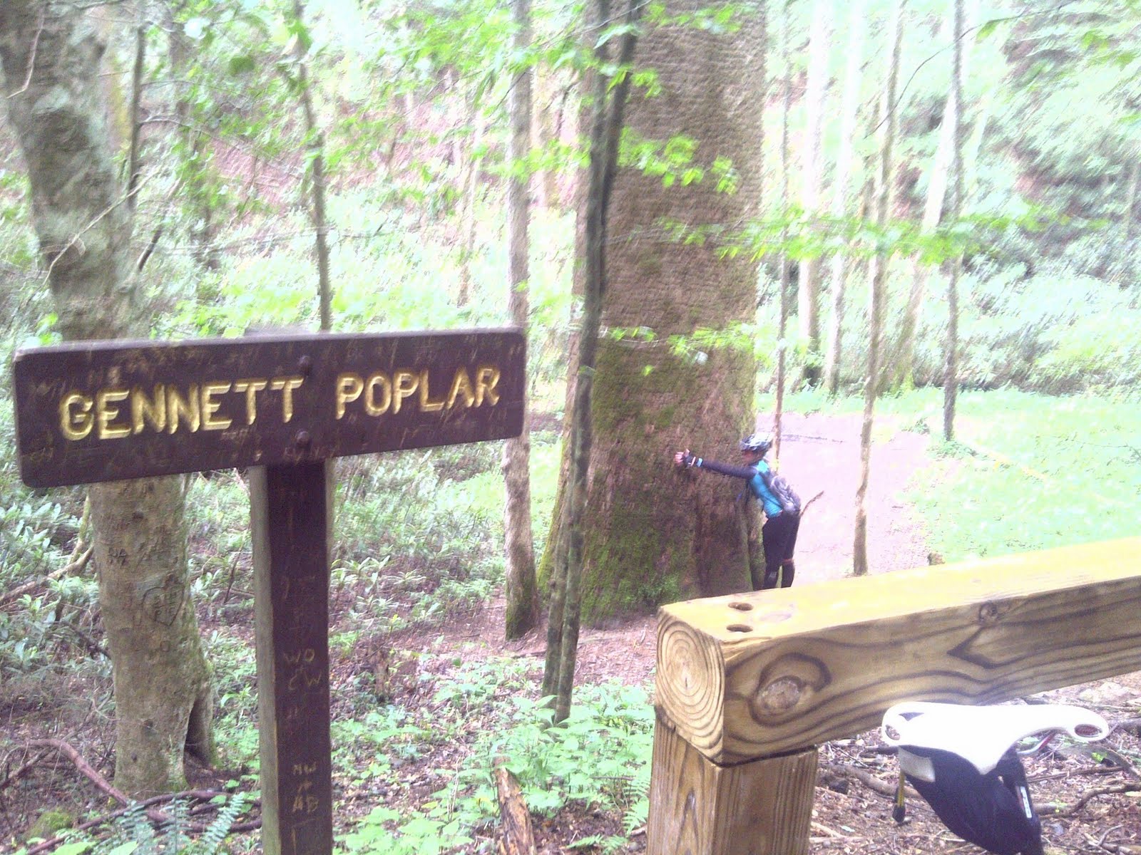 58 inches of Fury... ( a 29er reference): DRAMA QUEEN.... Need I Say More?