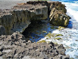 Climbing Photography - from Florida? | Will Travel for Adventure: One ...