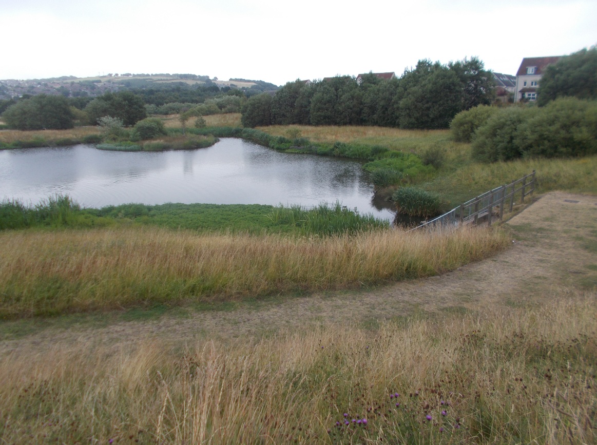 Blog de fotografii: Lacul - poezie si peisaj
