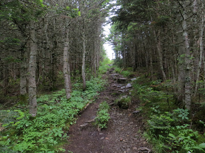 Mountain Wandering: Mount Hale Loop: 7/4/13