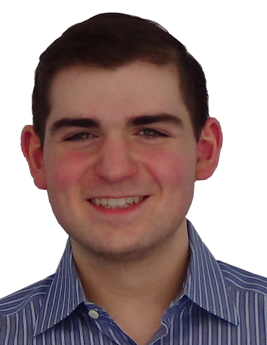 Puzzles To Remember: Thank You to the Daughters of the American Revolution!