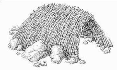 Who invented Shelter Construction and what is the history of ...