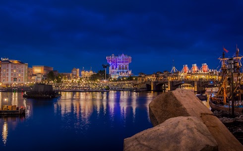 Disney Photoblography