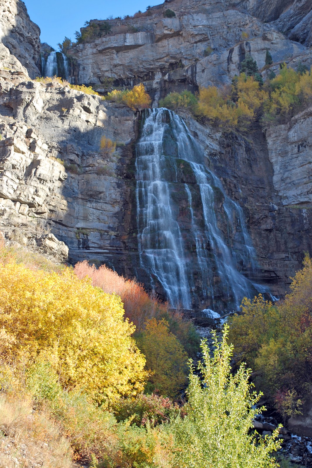 TashaLynne Photography: Fall Leaves in Provo Canyon
