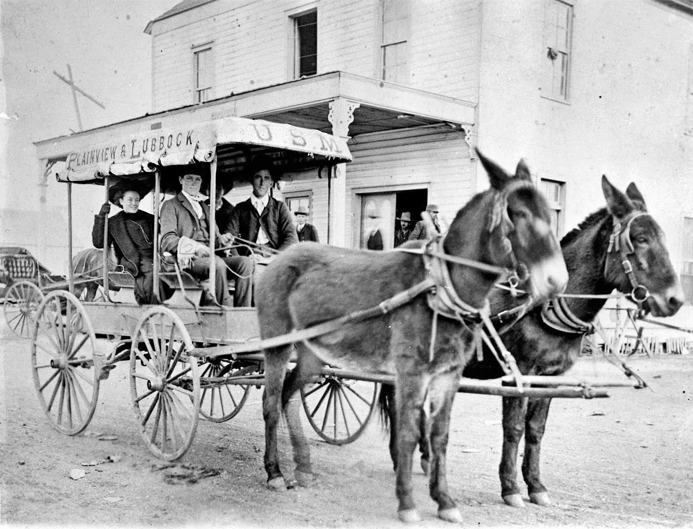 Keeping Up With the Wilson Family: MAIL SERVICE 1907