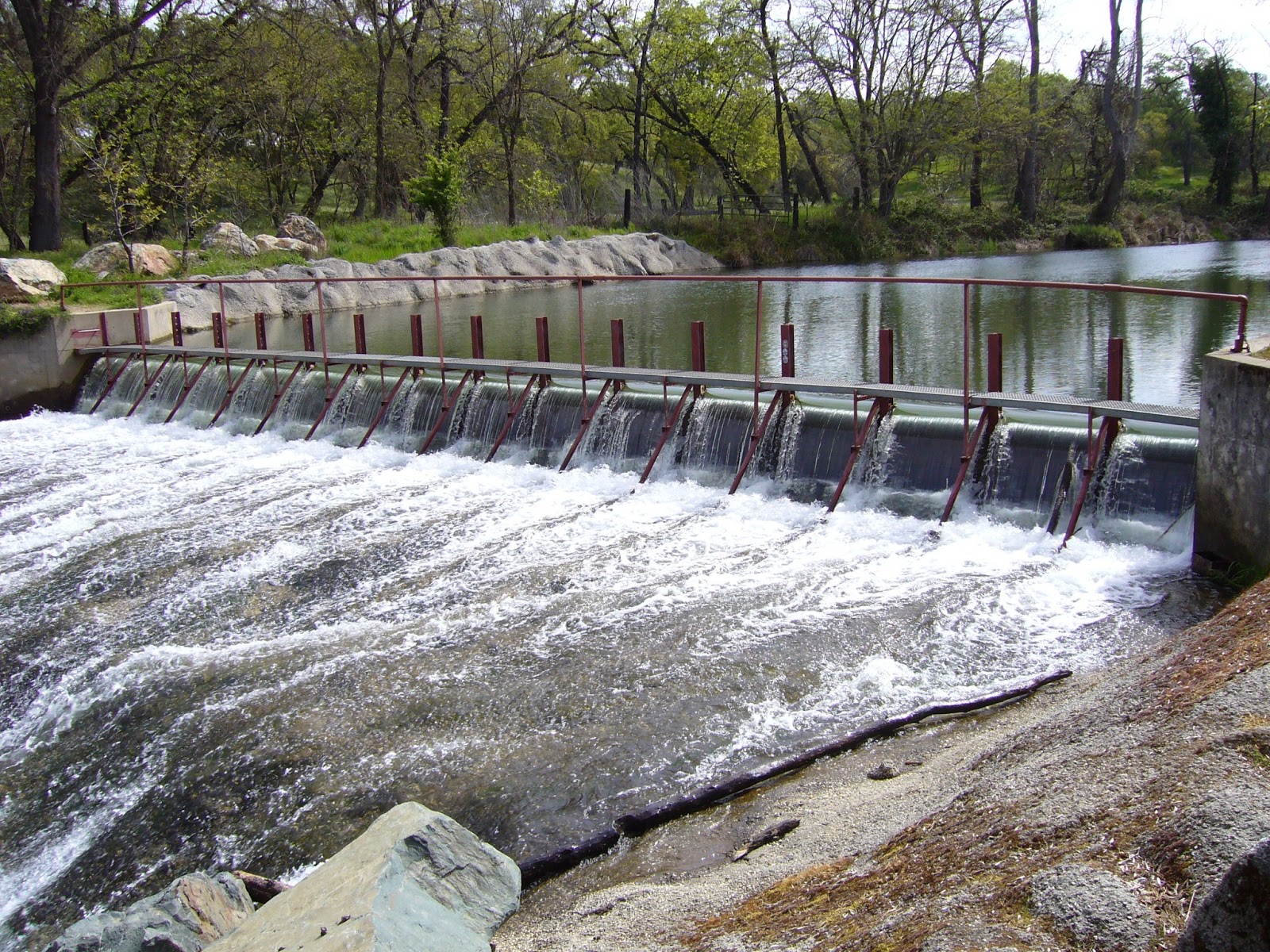 SARSAS -Save Auburn Ravine Salmon and Steelhead: Nevada Irrigation ...