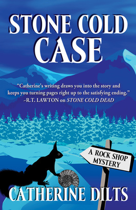 A_TiffyFit's Reading Corner: {Book Tour & Review} STONE COLD CASE by ...