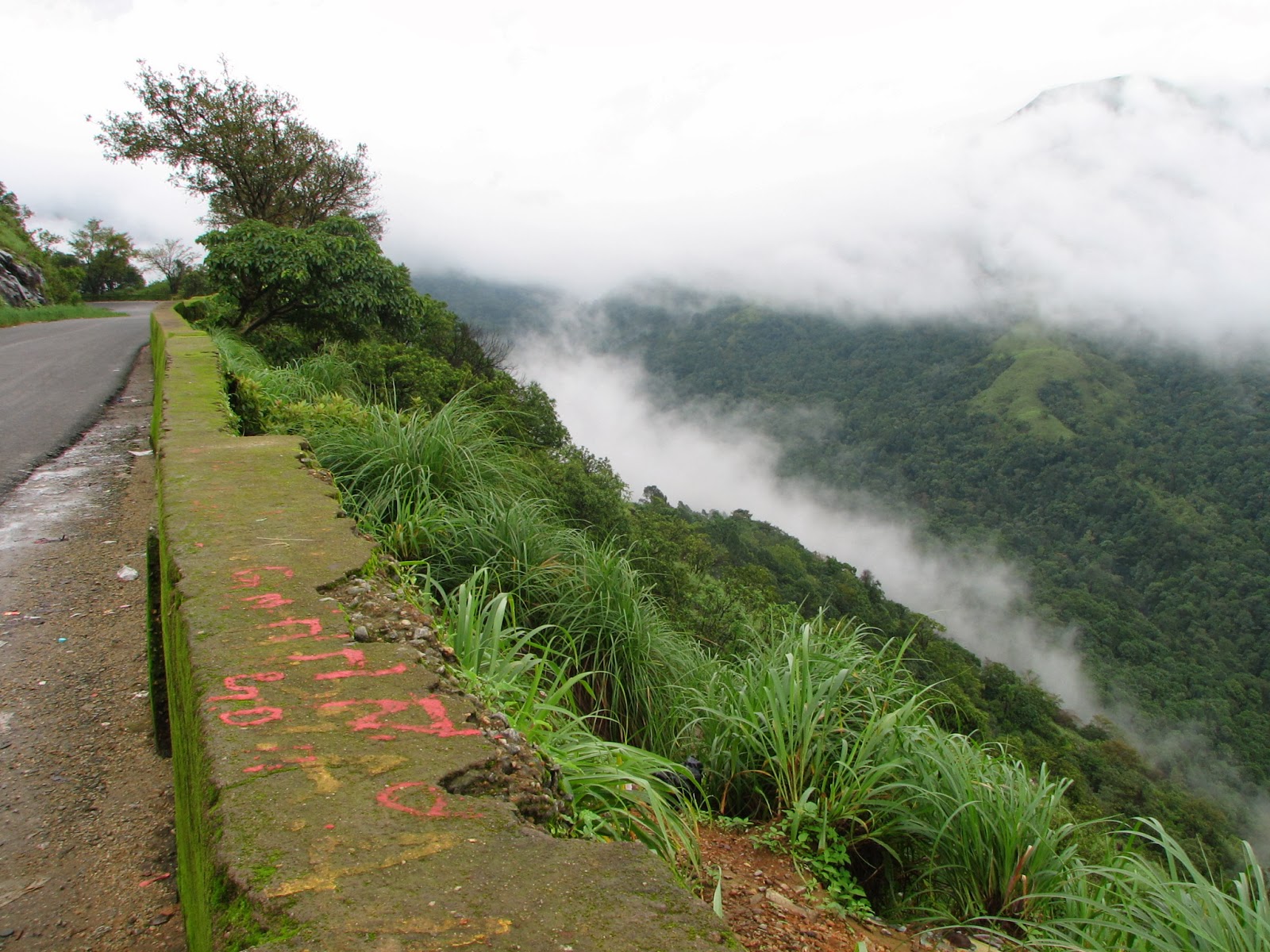 Tourism and Environment: Drive through the Hills of Karnataka ...