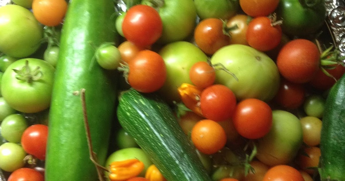 Elämä on ihanaa, SATU RANTANEN