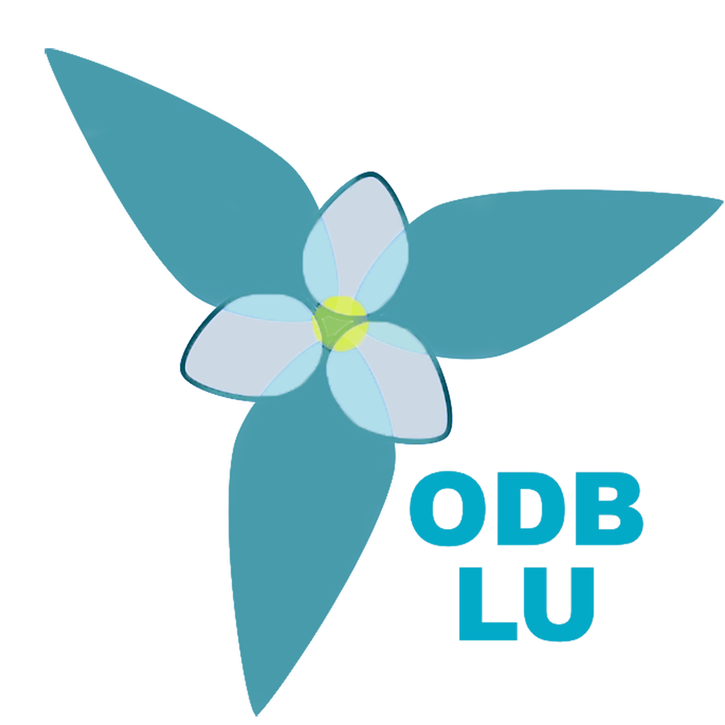 ODB Limited Use Codes App