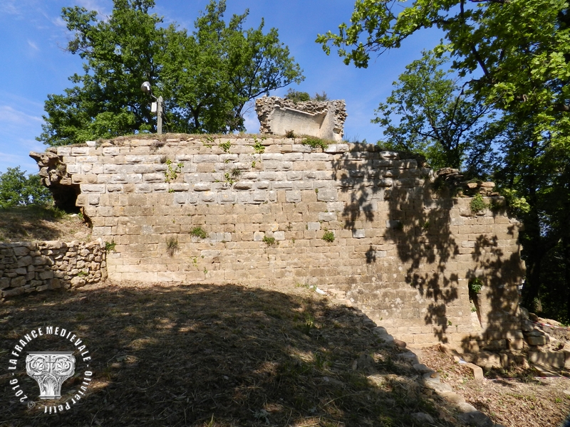 LA FRANCE MEDIEVALE: SABRAN (30) - Château-fort