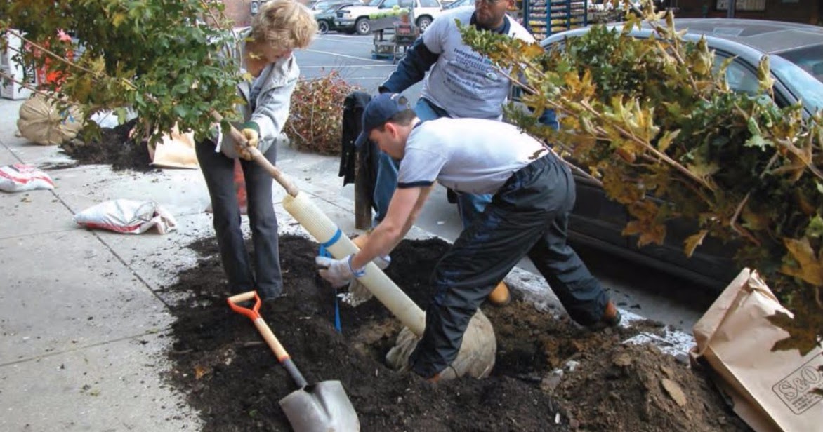 PA Environment Digest Blog: PA Horticultural Society Tree Tenders Basic ...
