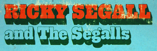 The Homoerratic Radio Show: Ricky Segall and The Segalls