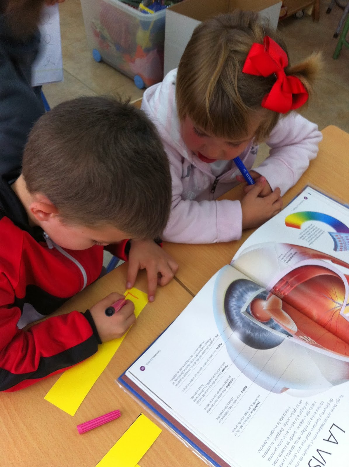 EL SUEÑO DE SER: EXPLORANDO NUESTROS SENTIDOS.