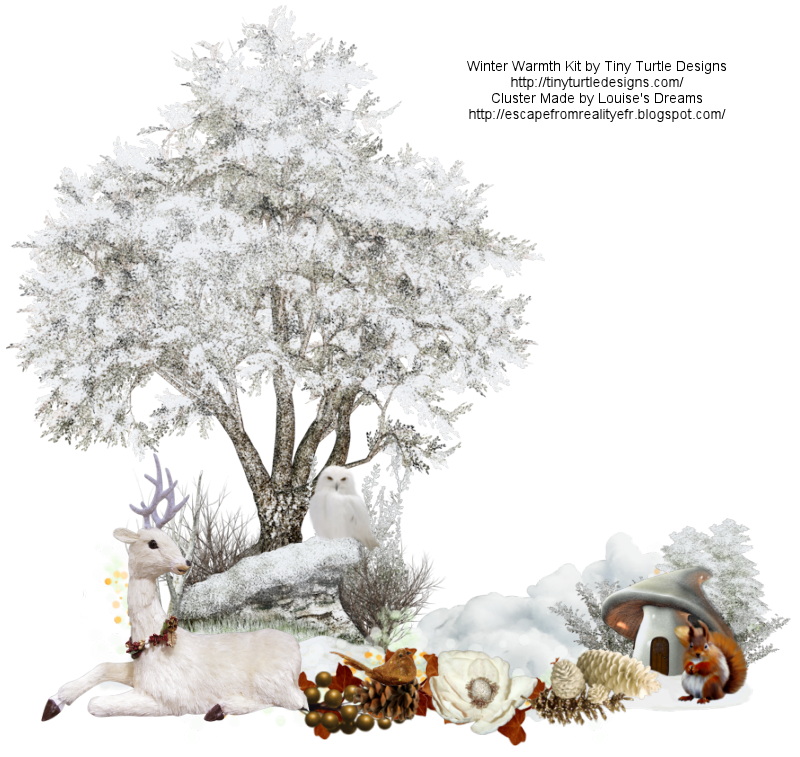 Escape From Reality Blog: FTU "Winter Warmth" Clusters & Cluster Frames