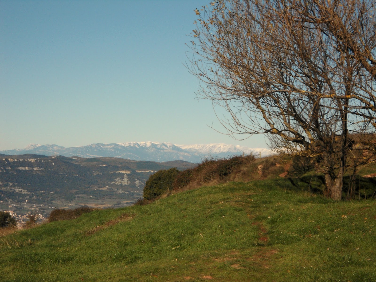 El Bellver - La Calma: .... avui un dia nítid de TADOR!!!
