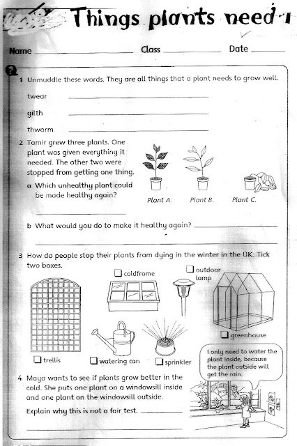 The City School: Grade 3 Science Reinforcement Worksheets