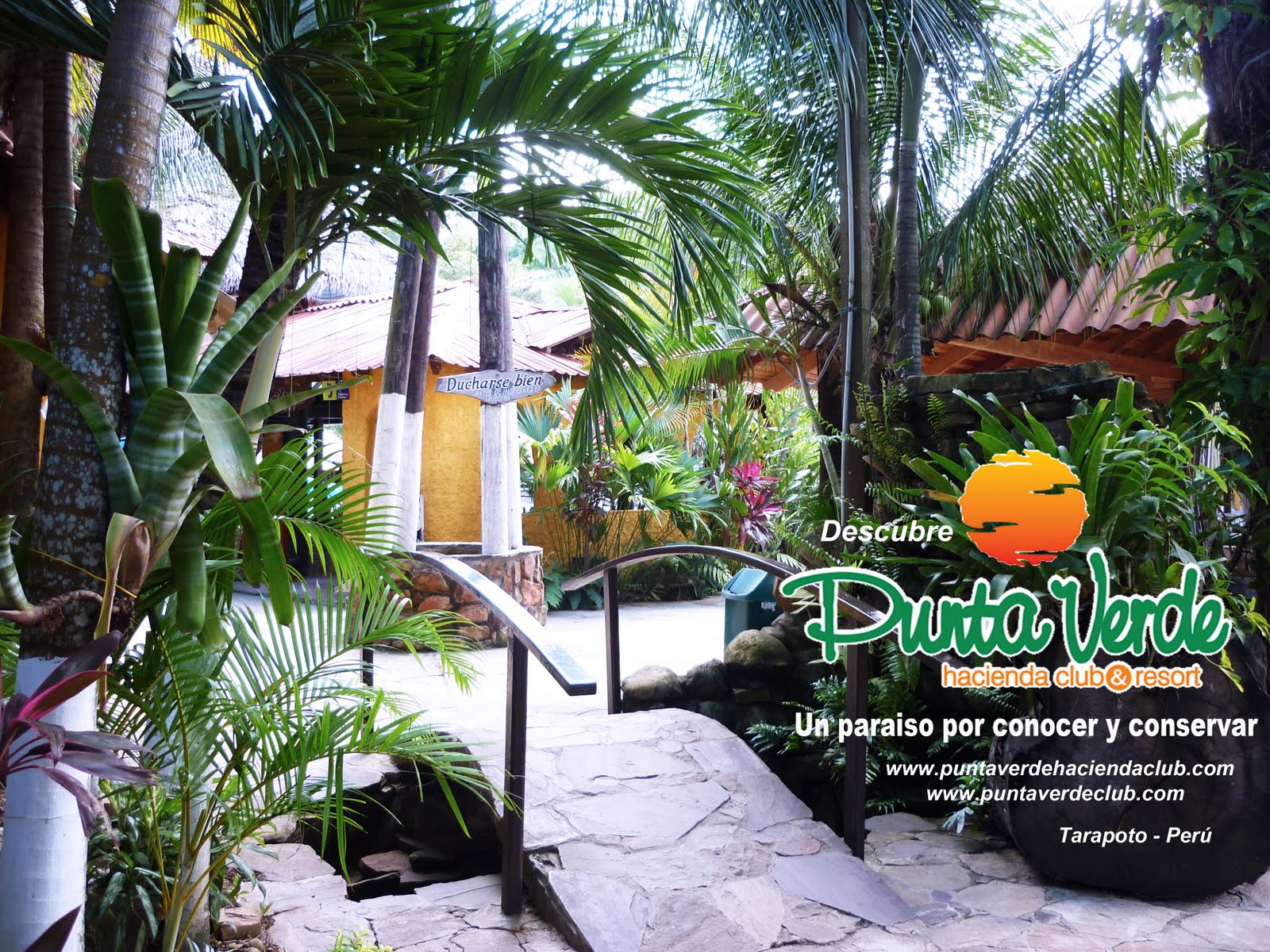 Modelos Tarapotinas: Punta Verde Hacienda Club & Resort