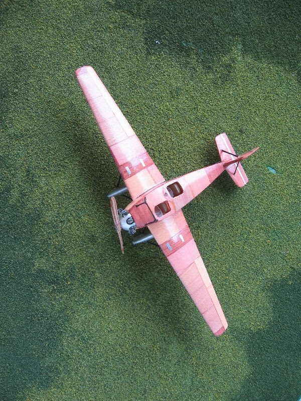 Wings of Intent: Scratchbuilt 1/72 scale Albatros L.60 completed