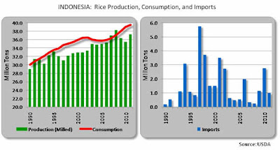 World rices: Cultivating rice in Indonesia