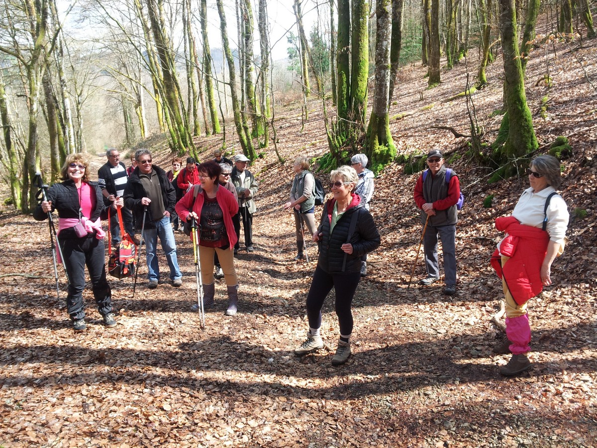 Les randonneurs du mercredi: Rando à Cussy en Morvan
