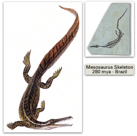 Biologia no Dia a dia: abril 2018