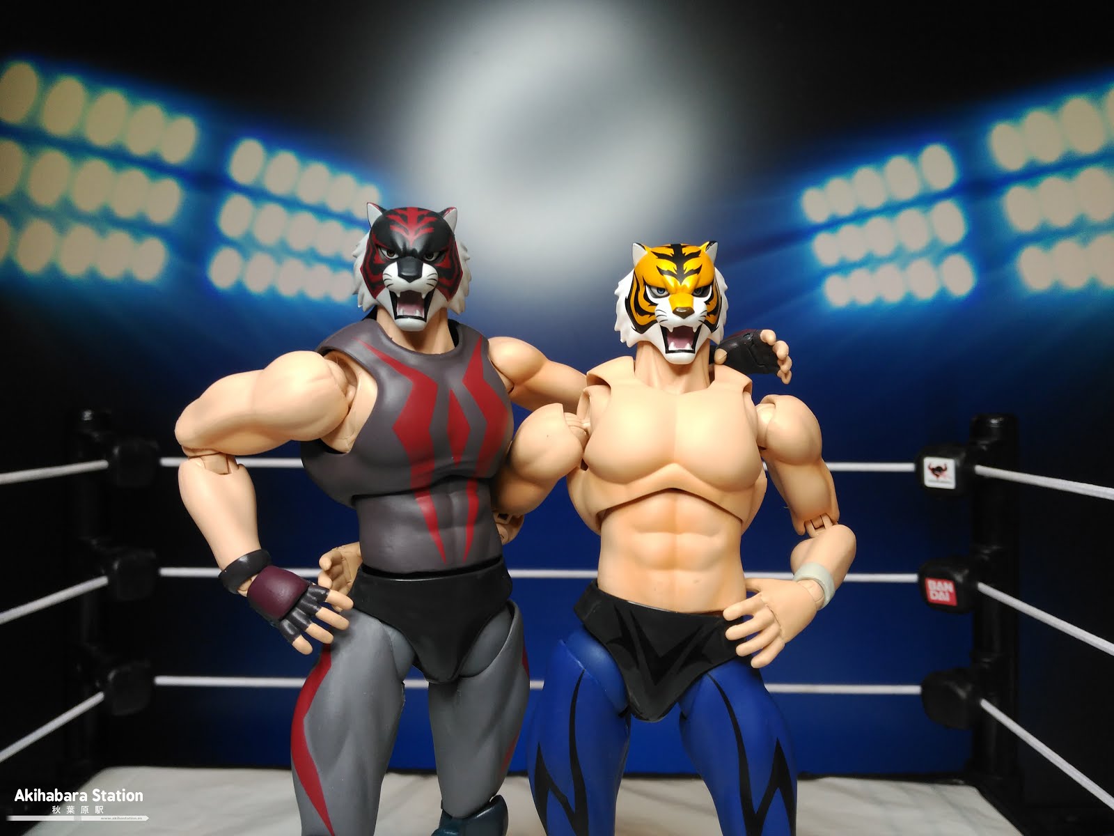Figuras: Review de los S.H.Figuarts "Tiger Mask" y "Tiger the Dark ...