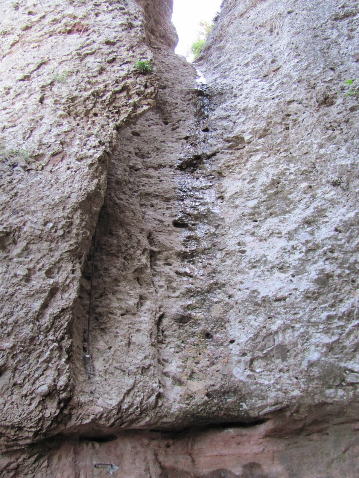 El Padrino de Solius