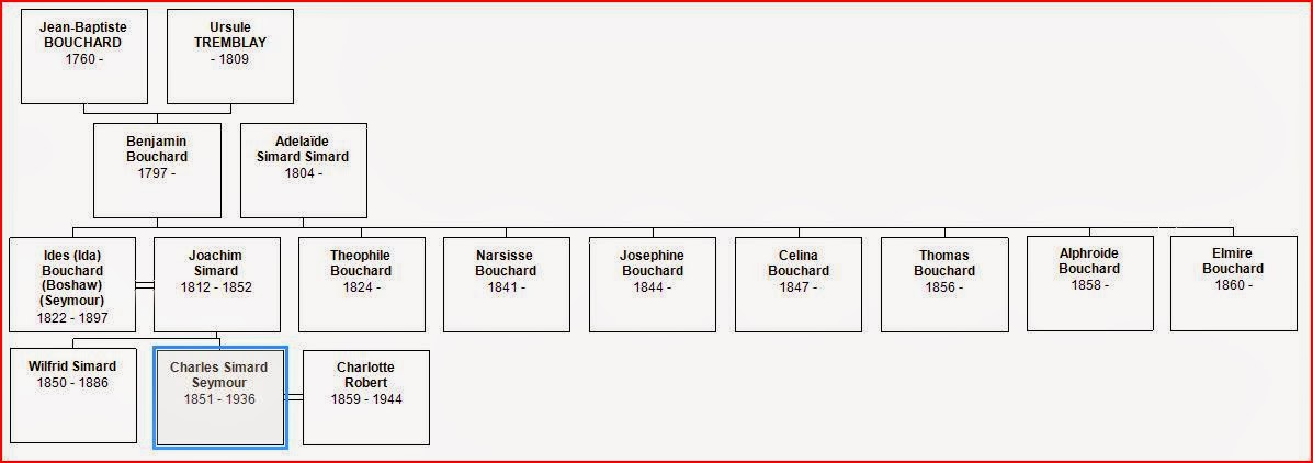 Family Tree Story: Simard/Seymour Tree