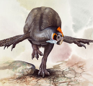 Species New to Science: [Paleontology • 2001] Khaan mckennai • A new ...