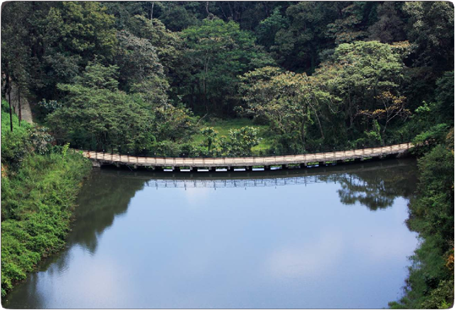 The IBNII Coorg , Surrender to Nature: WATER MANAGEMENT AT IBNII COORG