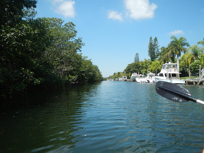 DragonFly Garden: Kayaking Miami Canals