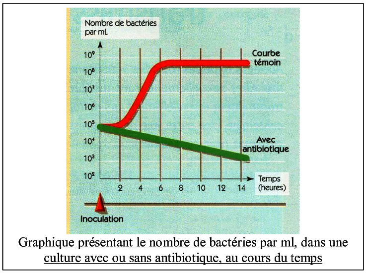 exercice corrigé courbe de croissance bactérienne