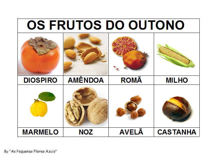 AS NOSSAS PARTILHAS: Frutos do Outono