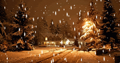 KAR KURDU (Glenn MEADE)