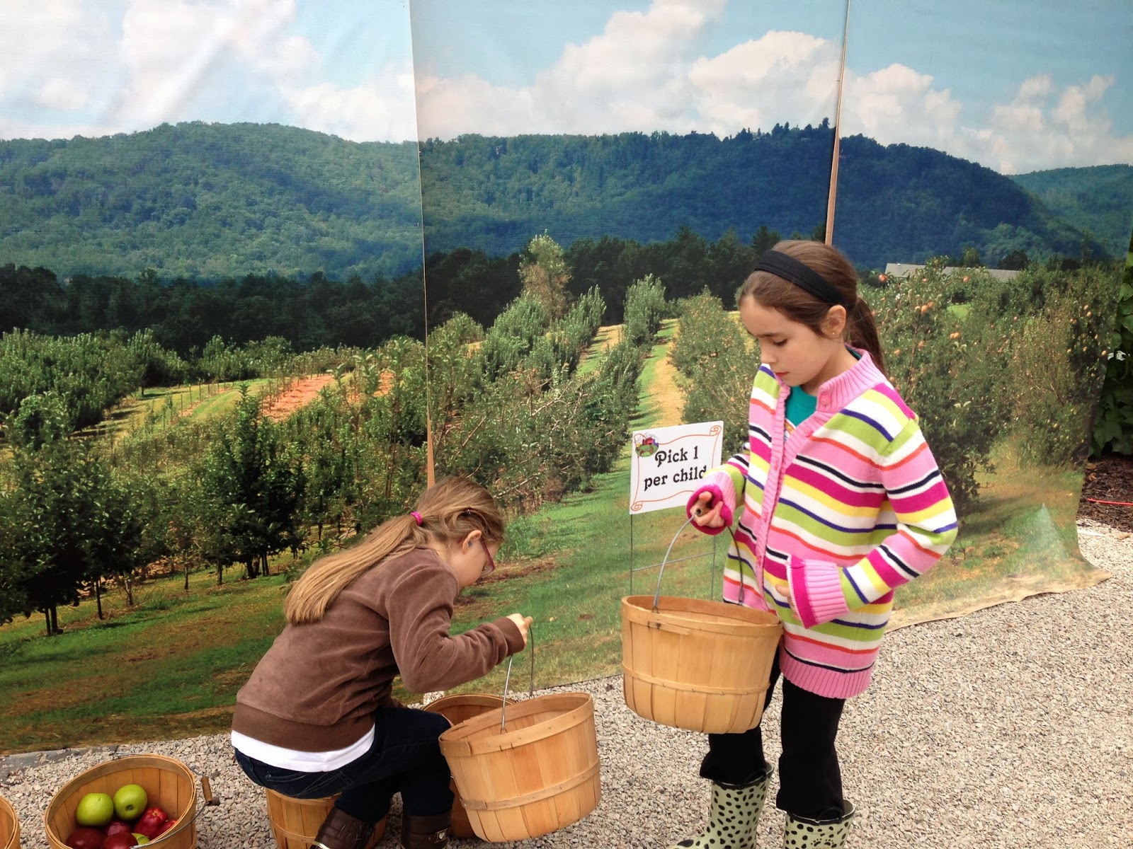 Solagratiamom: The State Fair - An Educational Experience