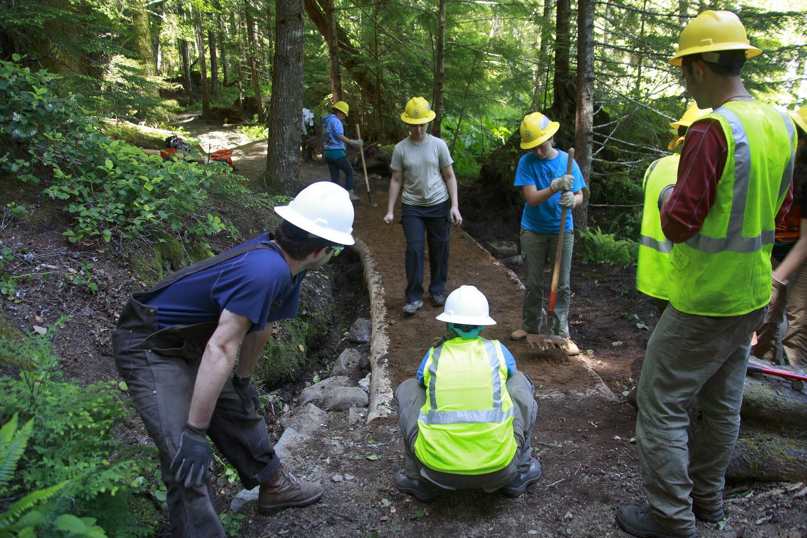 Mount Rainier Volunteers: Student Conservation Association Community ...