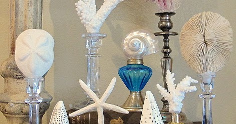 Display Stand Ideas for Shells and Sea Life
