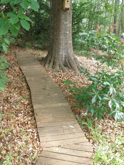 MARIETTE'S BACK TO BASICS: {Walk Our Wood Trail With Me + Helen Curtis ...